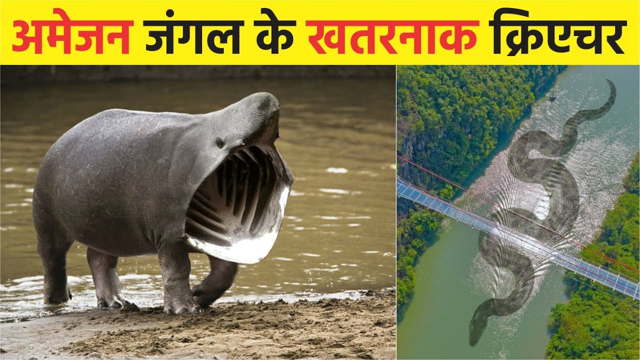अमेज़न जंगल का 10 सबसे खतरनाक क्रिएचर - The 10 Most Dangerous Animals ...