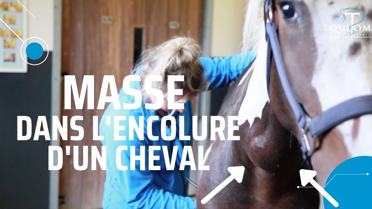 Masse dans l'encolure d'un cheval. Explication 🇳🇱 🇬🇧 - YouTube
