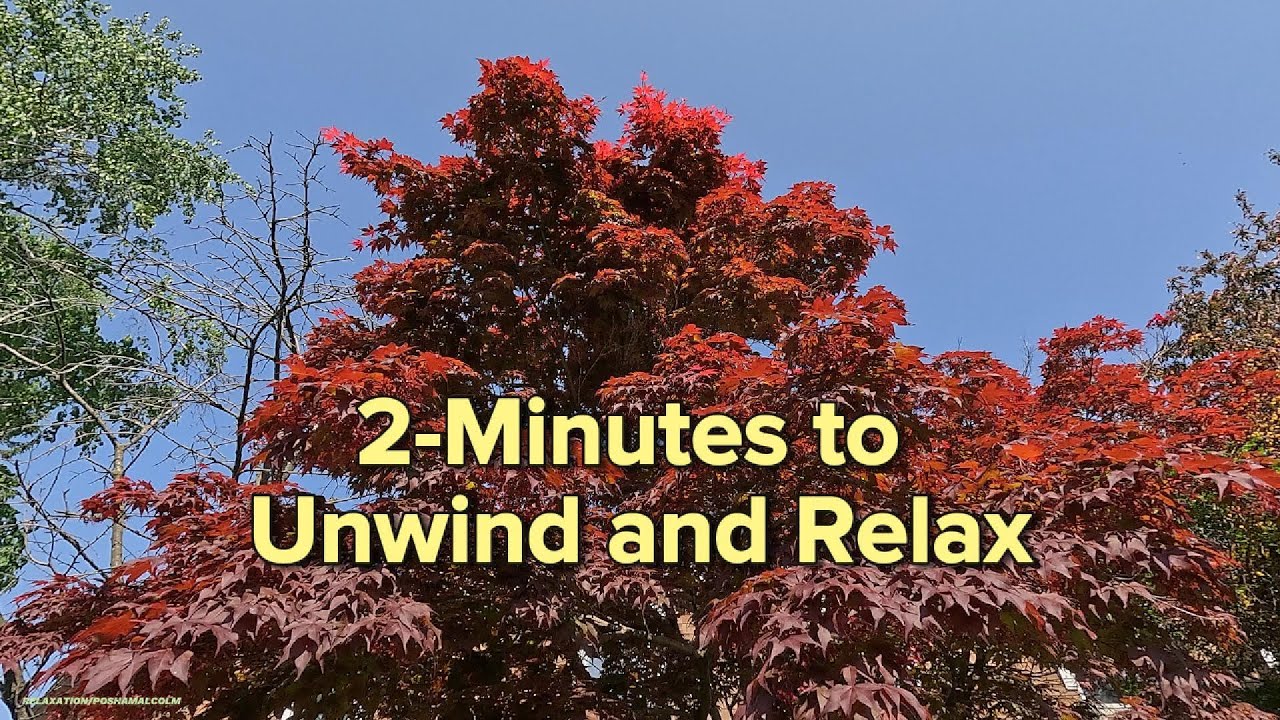 2 Minutes to Unwind and Relax 1 - YouTube