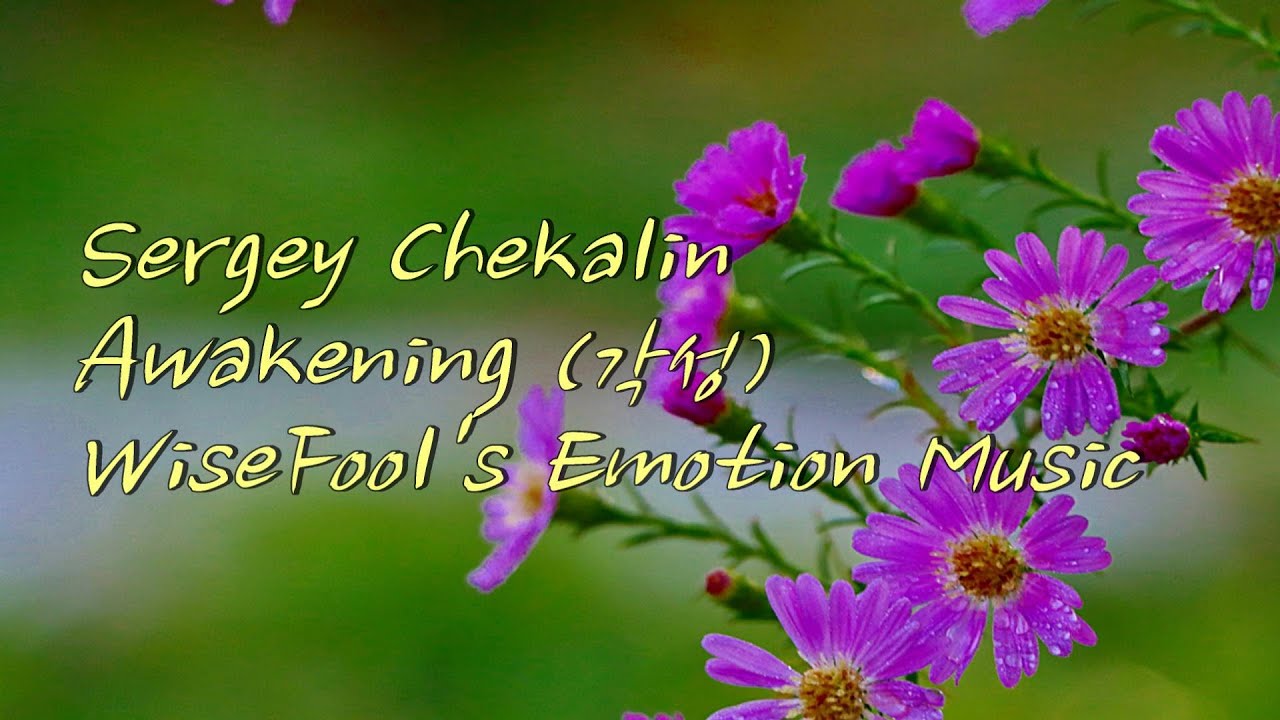 Sergey Chekalin - Awakening (각성) - YouTube