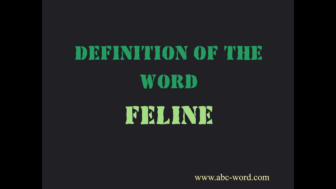 Definition of the word "Feline" - YouTube