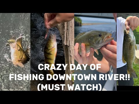 AWESOME Day of Fishing at The River - YouTube