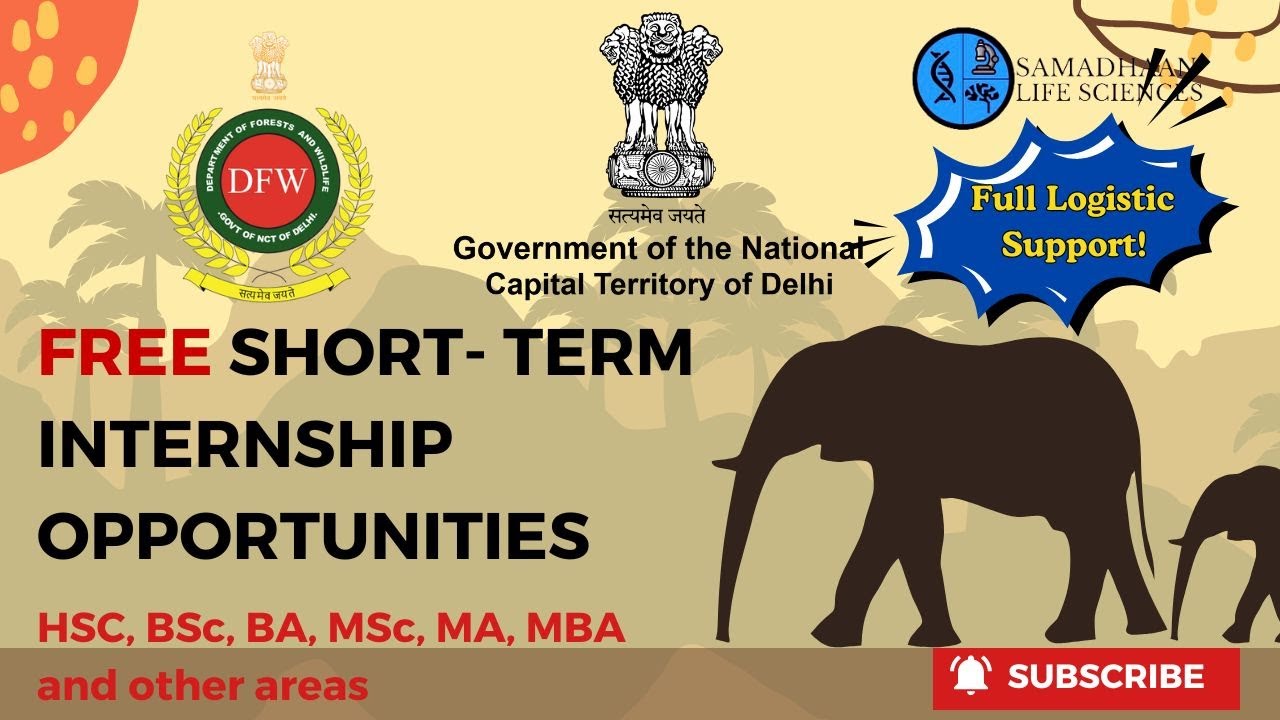 GNCTD Free Internship Program 2024 | Short-Term Opportunities with ...