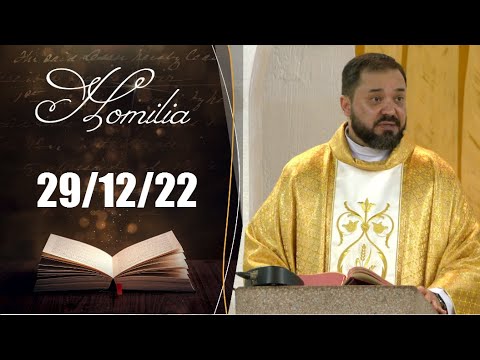 Homilia Diária | 29/12/22 | Padre Reginaldo Augusto - YouTube