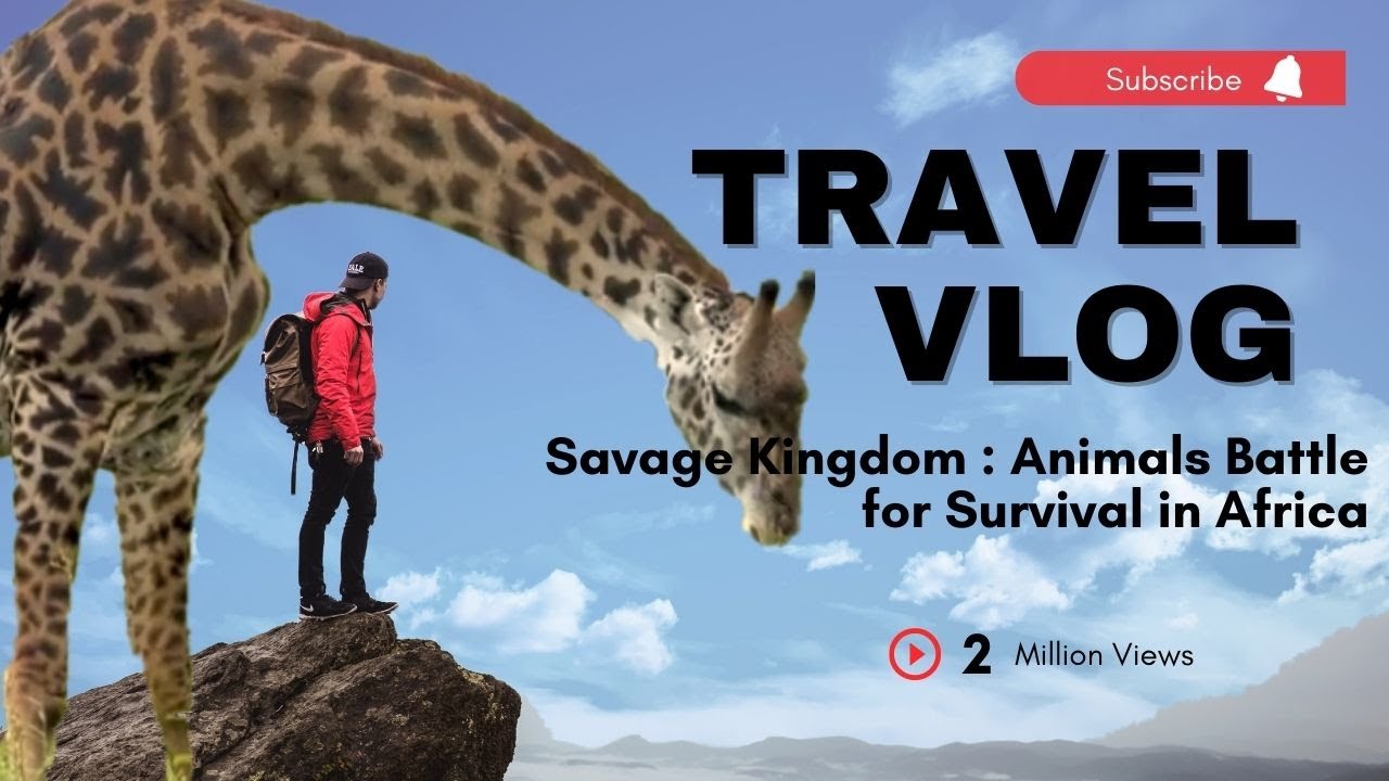 Amazing Moments Of Wild Animal 2023 - Wild Discovery Animals - YouTube
