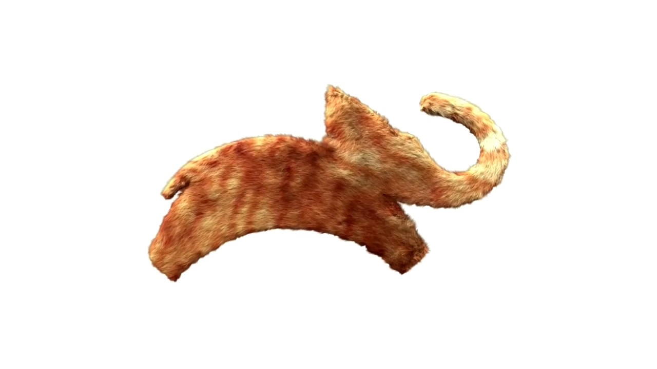 Animal Planet HD - Ident (2020) - YouTube