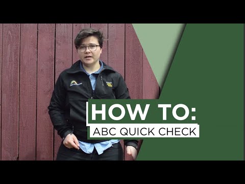 How to: ABC Quick Check - YouTube