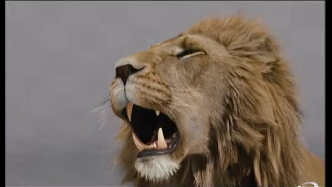 What Disney have forgotten. The Making of Aslan. - YouTube