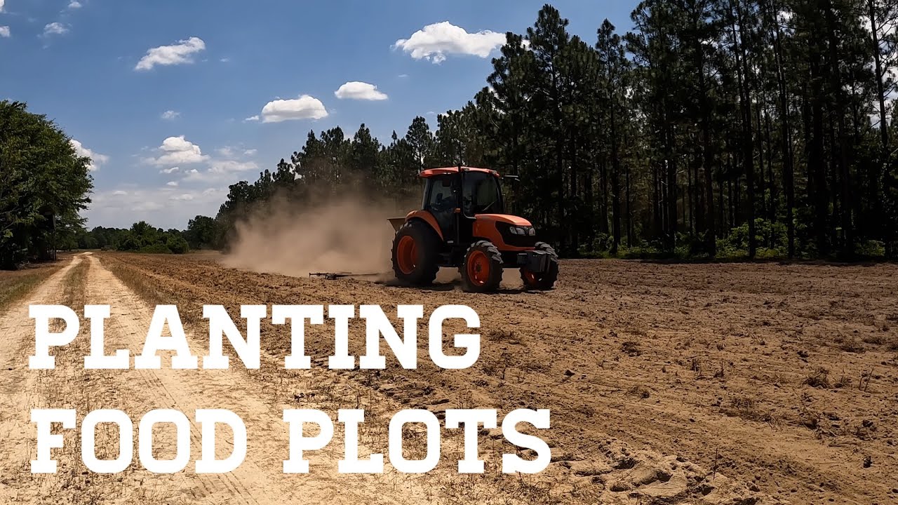 Spreading litter, disking, and planting fall food plots! - YouTube