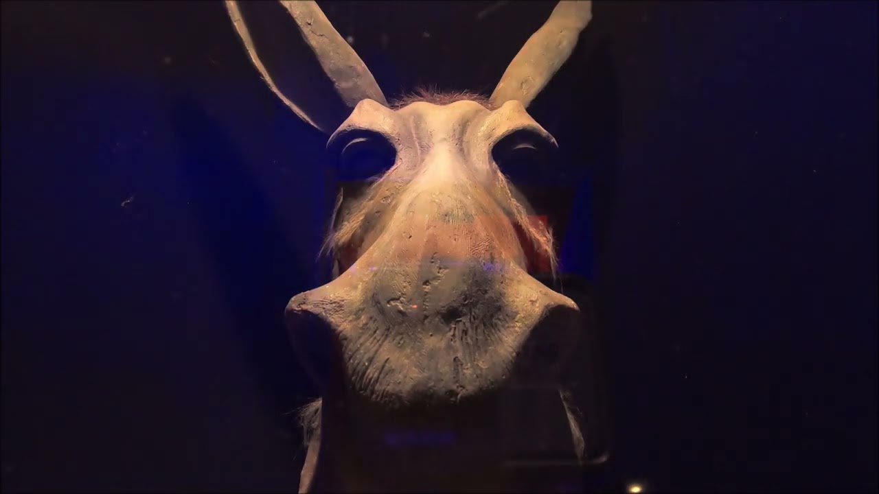 Blackgang Chine - Rumpus Mansion - Donkey Mirror - Isle Of Wight ...