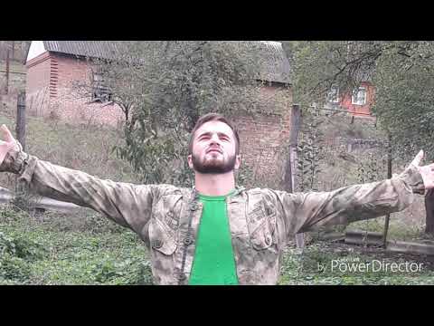 Чири-юрт Али Мусаев лес