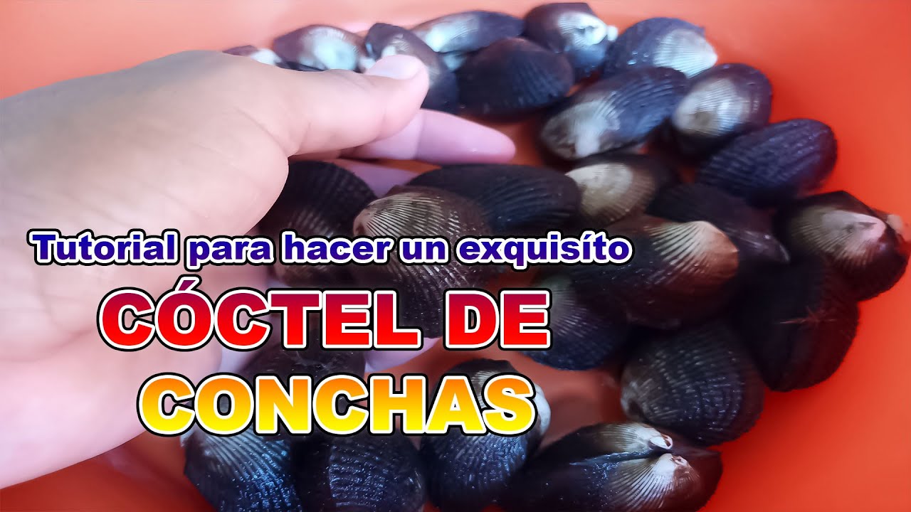 Tutorial para hacer un coctel de conchas - YouTube