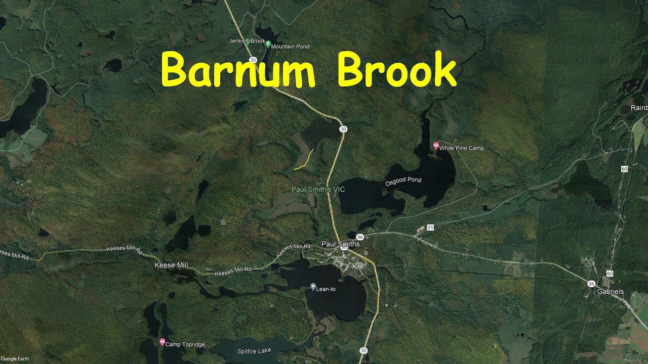 Barnum Brook - YouTube