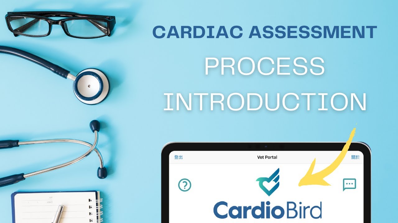 CardioBird - Process Introduction of Cardiac Assessment for Pets - YouTube