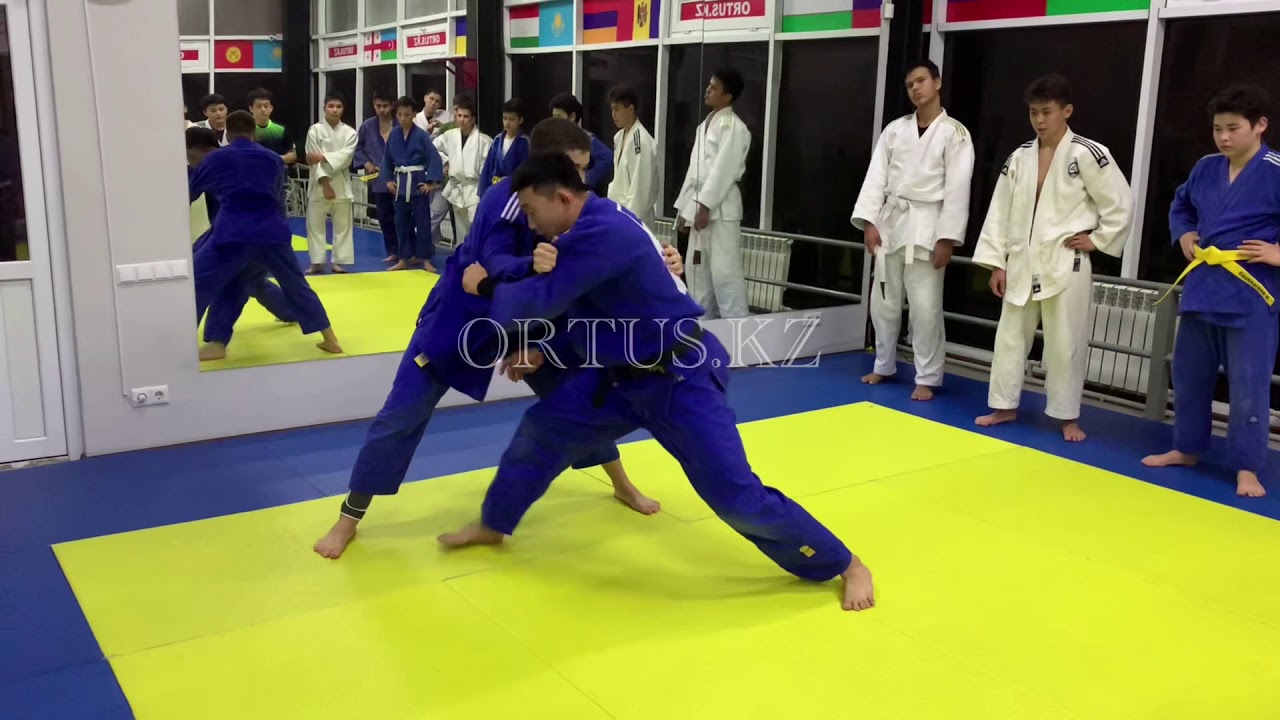 Дзюдо комбинация Ko Uchi Makikomi - Drop Seoi Nage. - YouTube