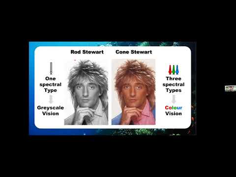 Tom Baden, PhD - YouTube