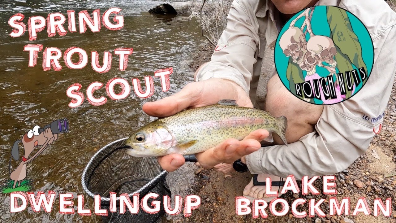 Spring TROUT FISHING at Lake Brockman & Dwellingup | ROUGH NUTS - YouTube