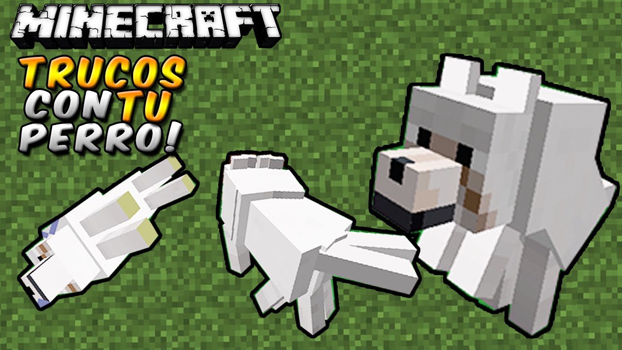 Minecraft: Enséñale trucos a tu PERRO! (TAMAGOTCHI STYLE) - Rabahrex ...
