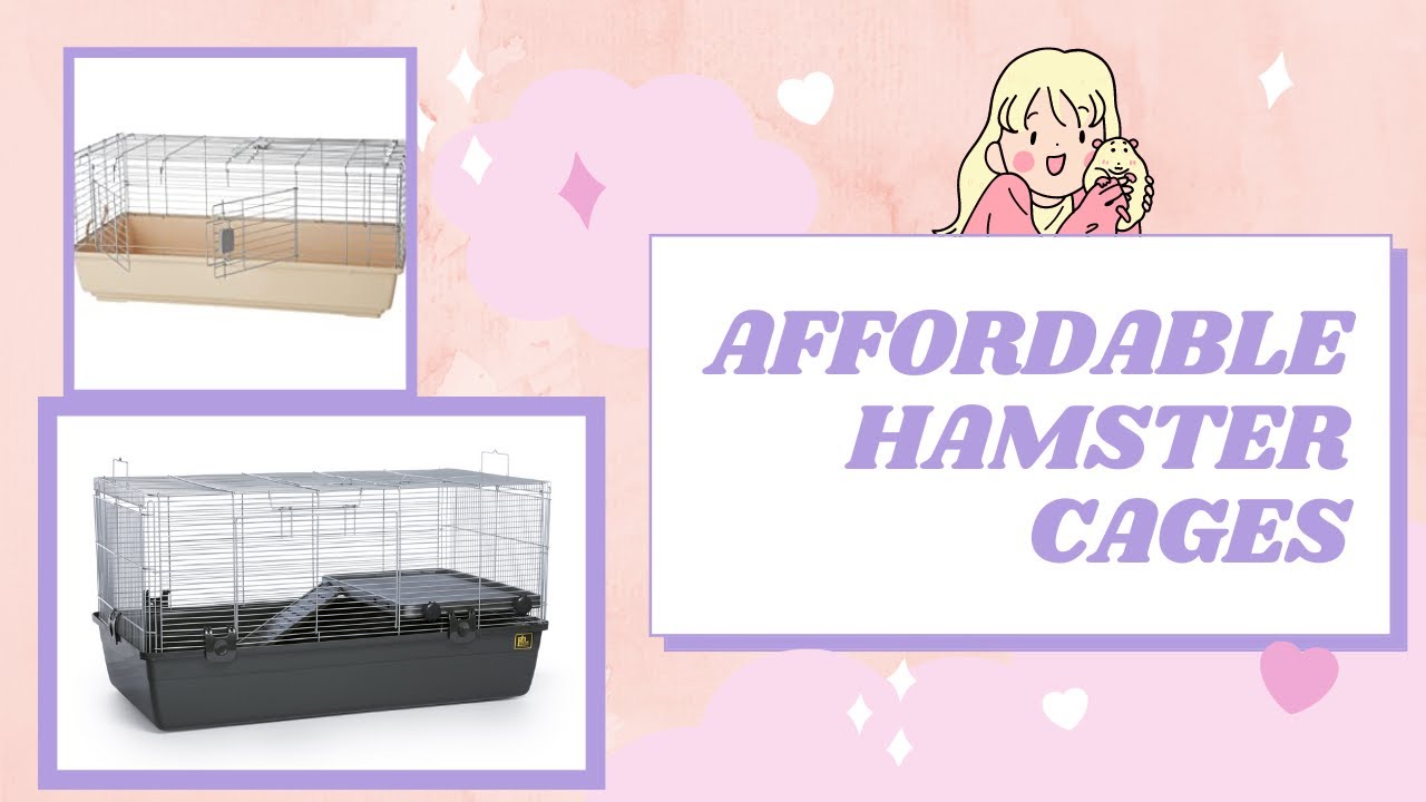 Affordable Hamster Cages 🐹 - 2021 (Above 450 sq. inches) - YouTube
