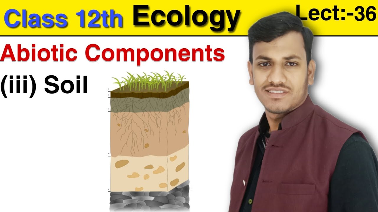 Class 12th Ecology (Abiotic Components)→Soil By AR Sir - YouTube
