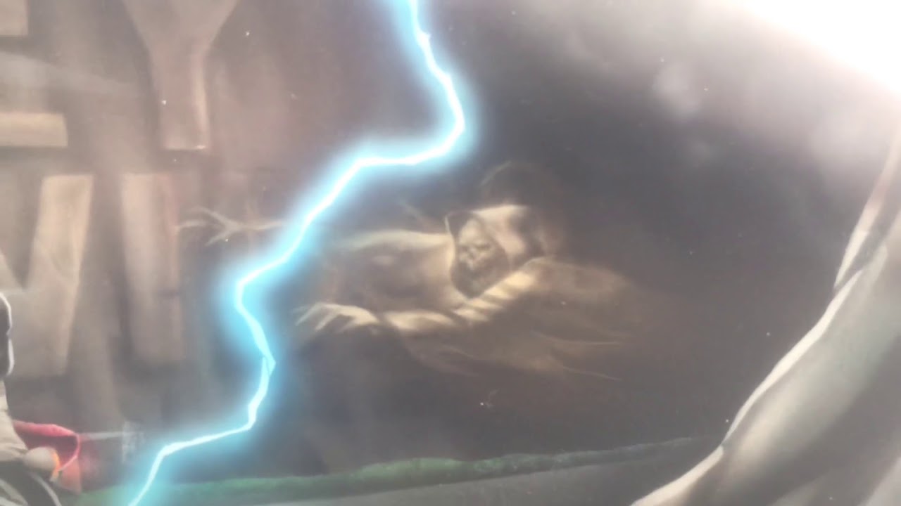 Billy Streeter paint commercial - YouTube