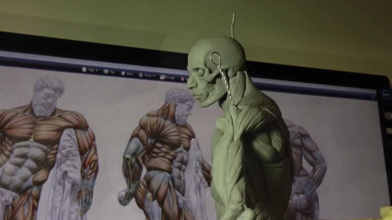 How To Sculpt Ecorche Hercules - YouTube
