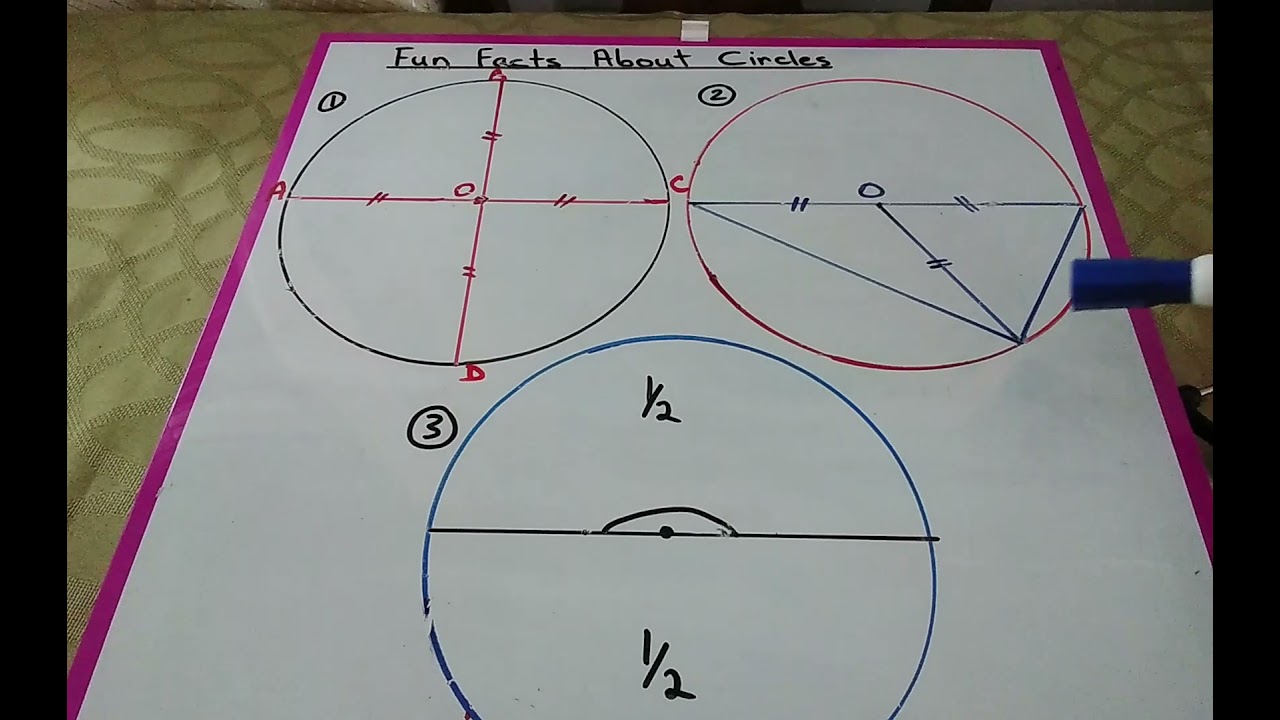 Fun Facts About Circles YouTube fun-facts-about-circles-youtube