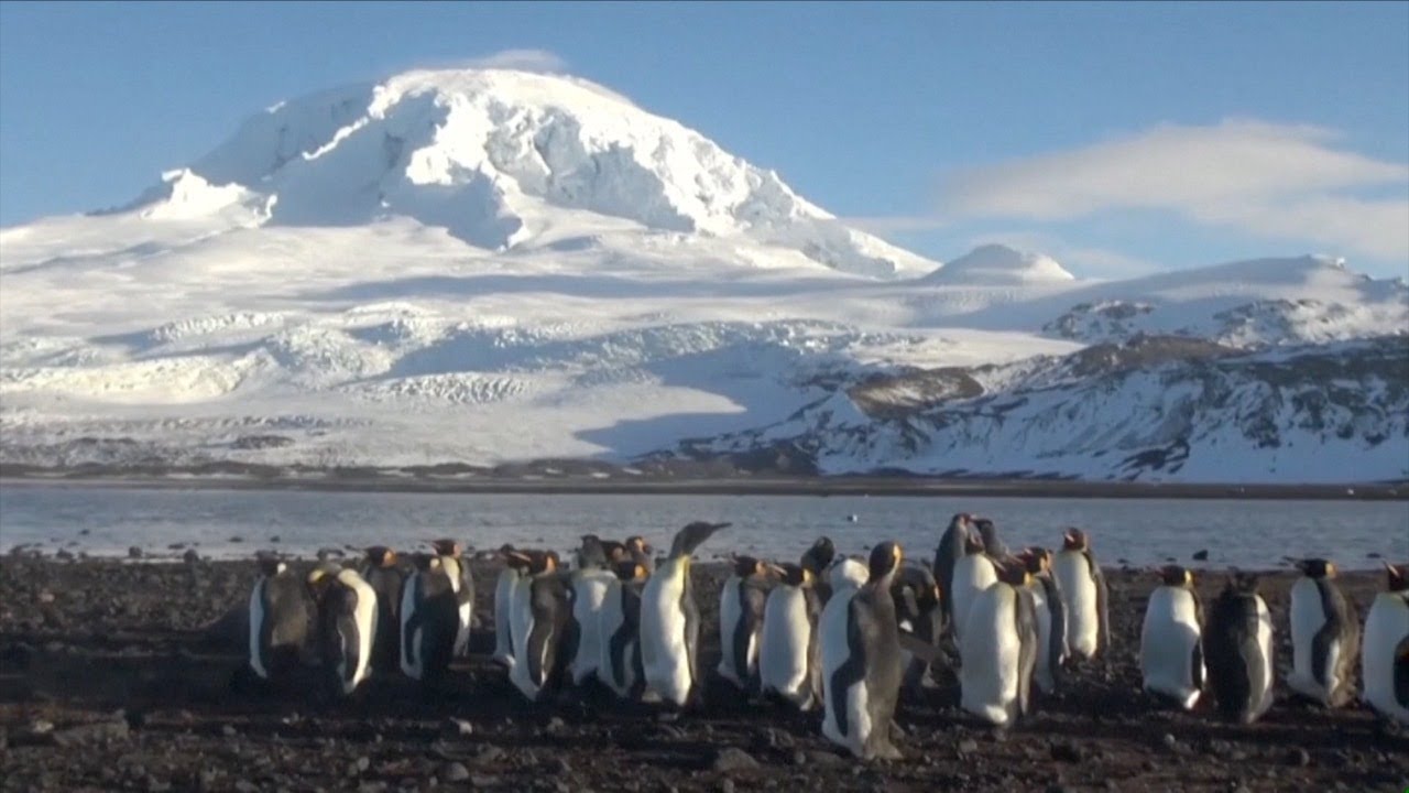 Confusion Surrounds Why Trump’s Tariffs Target Penguin Populated Island ...