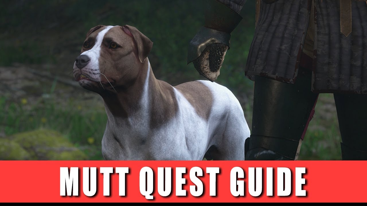 Mutt Quest and Location Kingdom Come Deliverance 2 KCD2 Where to Find ...