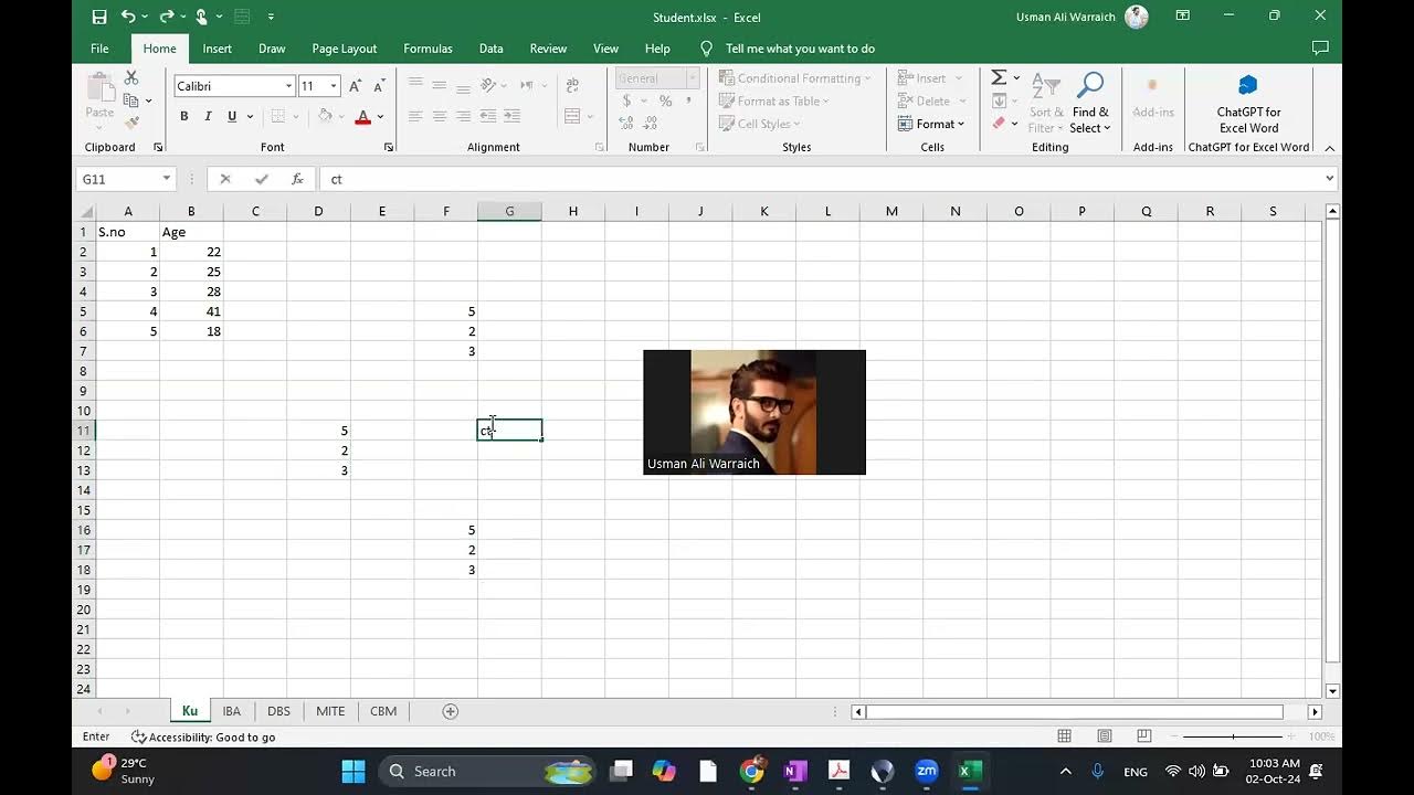 Excel Basics 2 : Mastering Sheets, Data Entry, and Shortcuts - YouTube