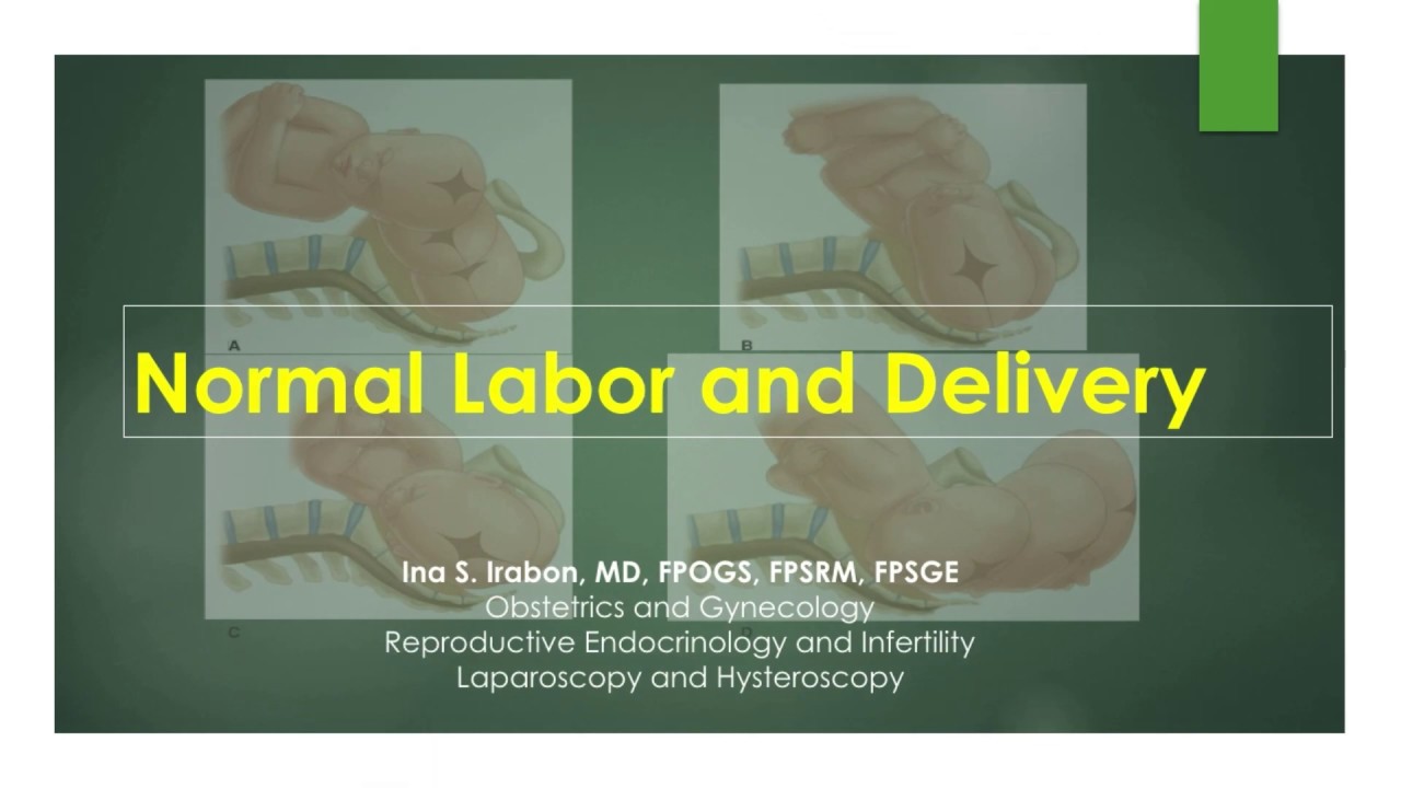 normal labor and delivery - YouTube