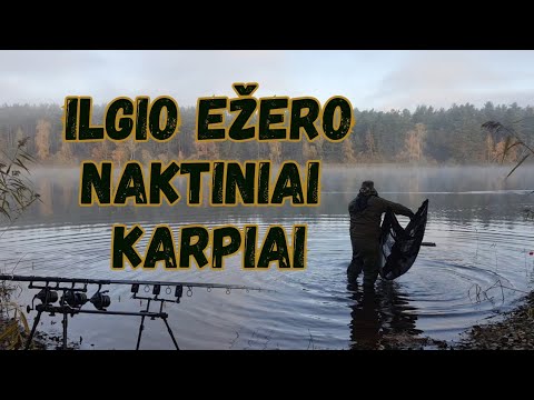 Ilgio ežero karpiai (Carp Lake Ilgis) - YouTube
