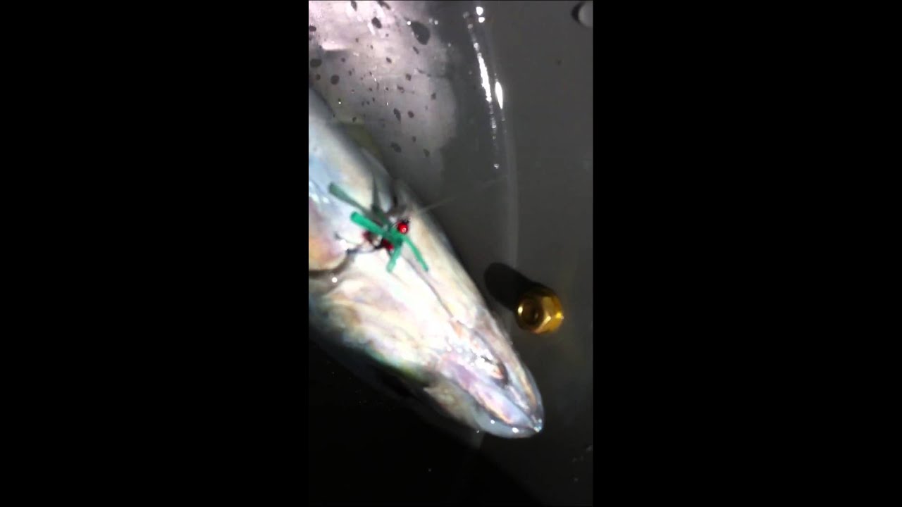 First Ever Akule caught on my Homade Jigs - YouTube