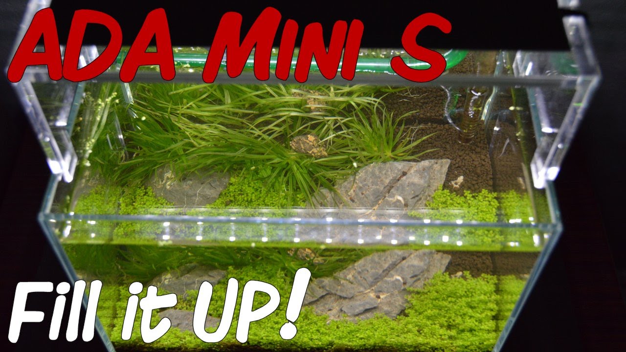 ADA Mini S Project - Fill it Up! - YouTube