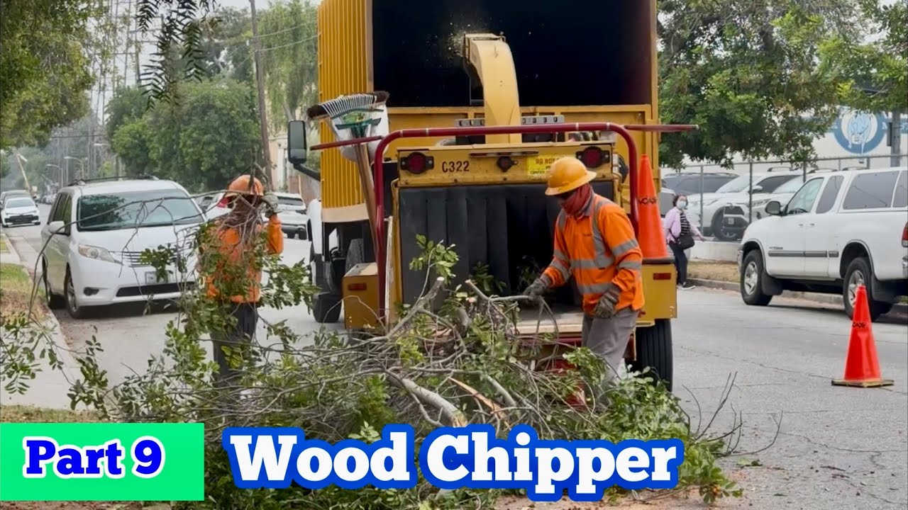 WOOD CHIPPER in Action｜Tree Trimming Crew (Tree Surgeon) At Work (Part ...