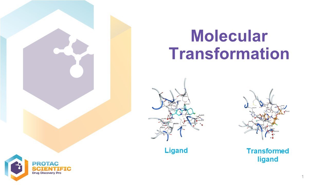 Molecular Transformation Strategy For The Creation of Innovative ...