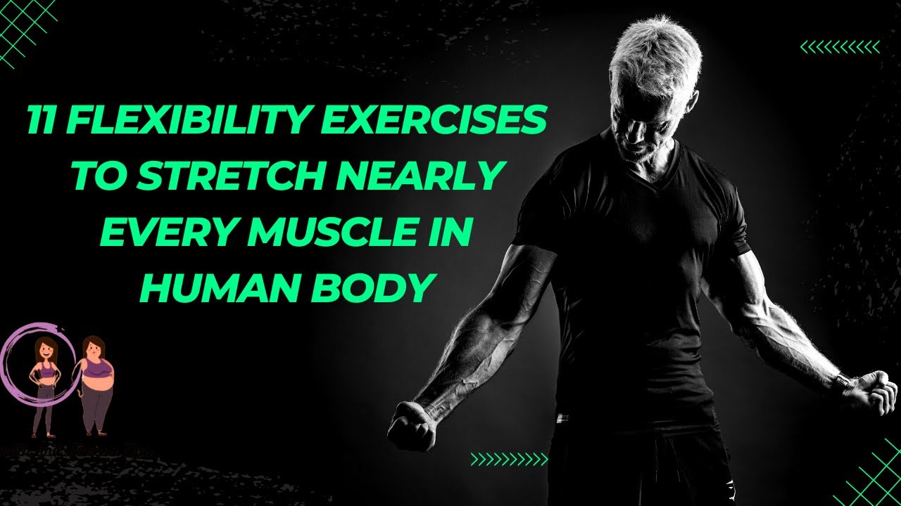 11 Flexibility Exercises to Stretch Nearly Every Muscle In Human Body ...