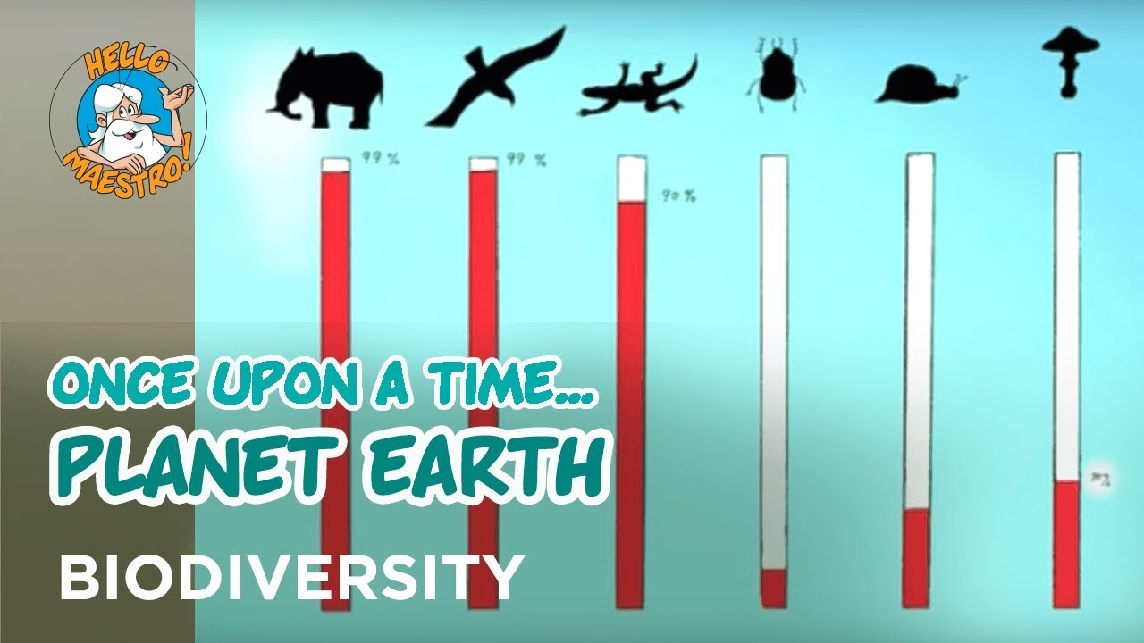 Once Upon a Time... Planet Earth - Biodiversity - Hello Maestro - YouTube