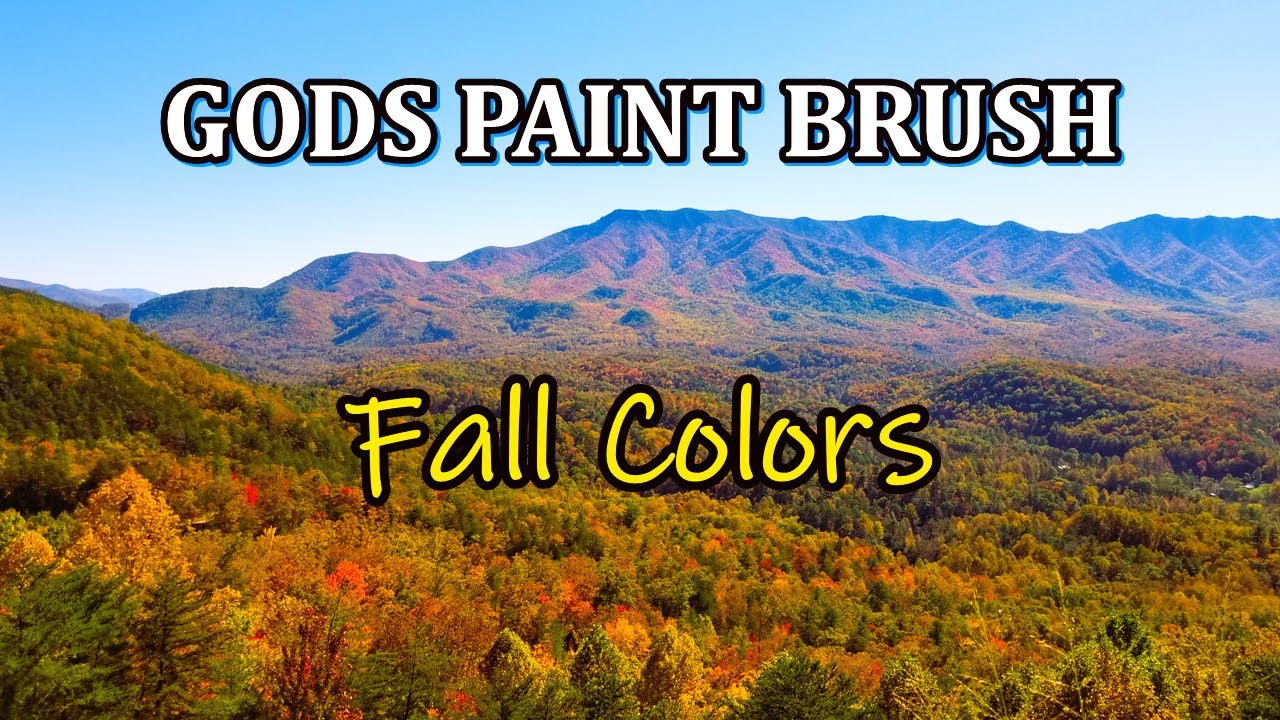 Gods Paint Brush of the Mountain Fall Colors - YouTube