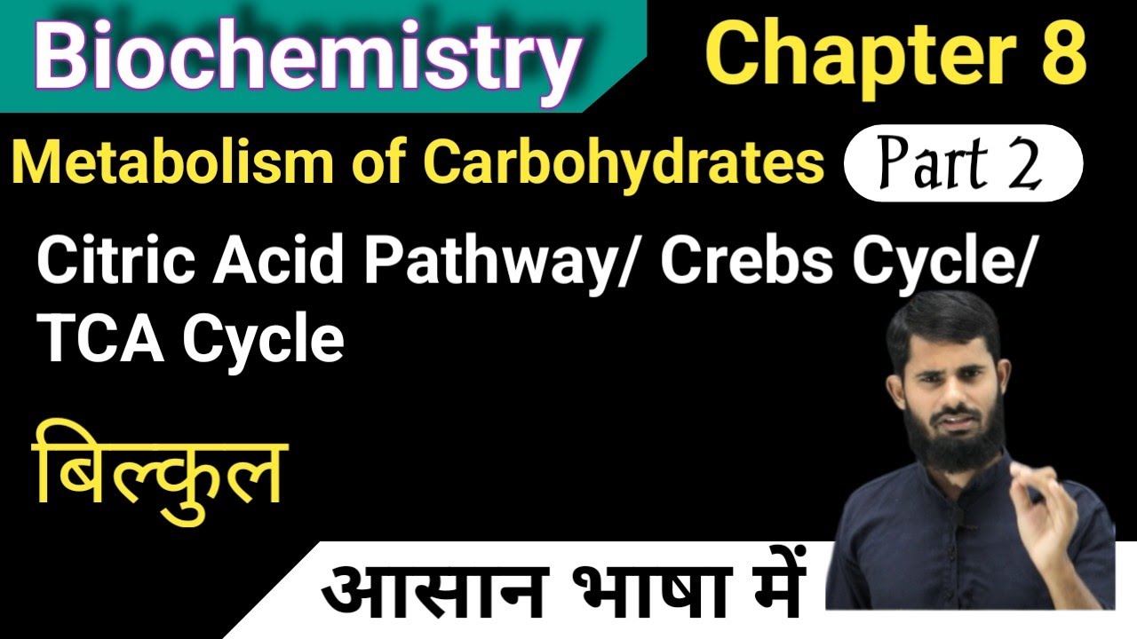 Citric Acid Pathway || Crebs Cycle || TCA Cycle - YouTube