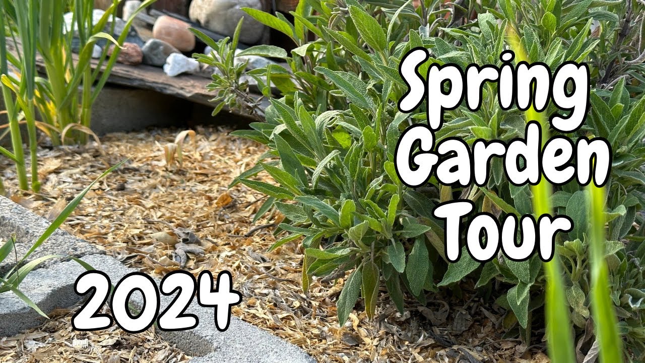 Spring Garden Tour 2024 - YouTube