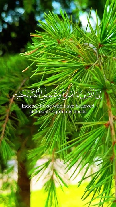 إِنَّ الَّذِينَ فَتَنُوا الْمُؤْمِنِينَ وَالْمُؤْمِنَاتِ ثُمَّ لَمْ