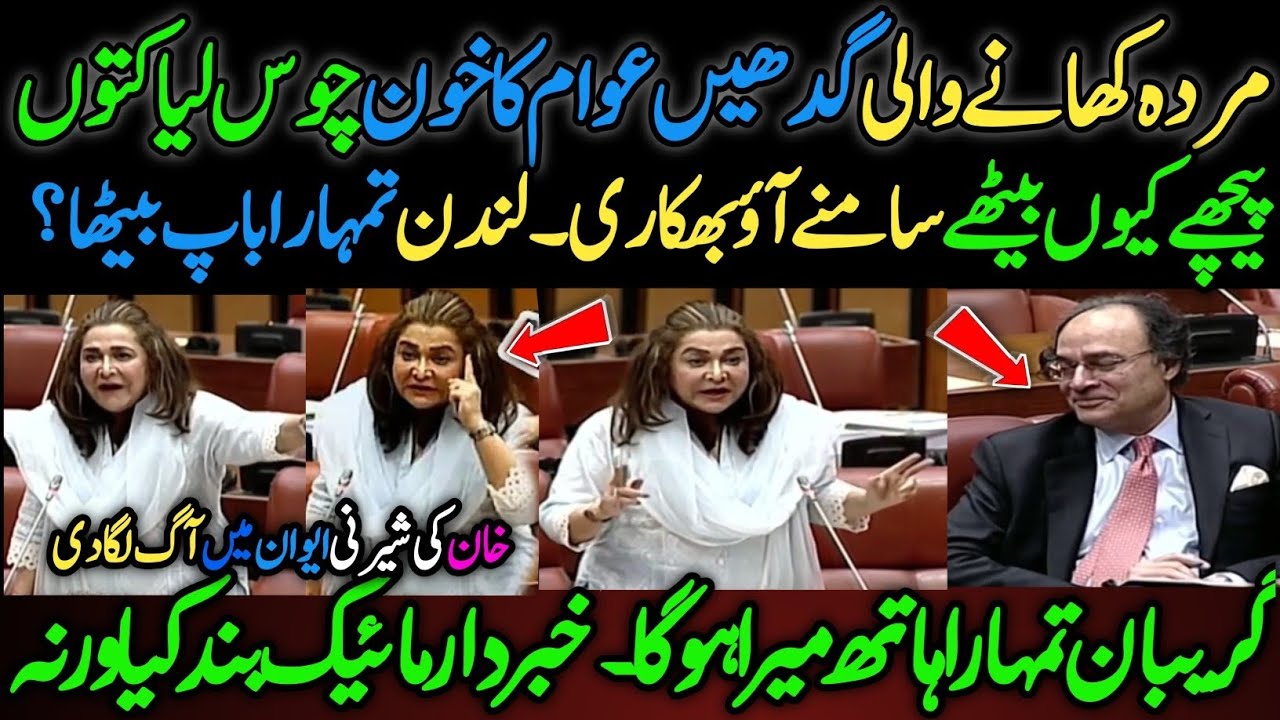 Dr Zarka Blasting Speech in Senate | Ye Murda Lash Khany Wali Gidhein ...