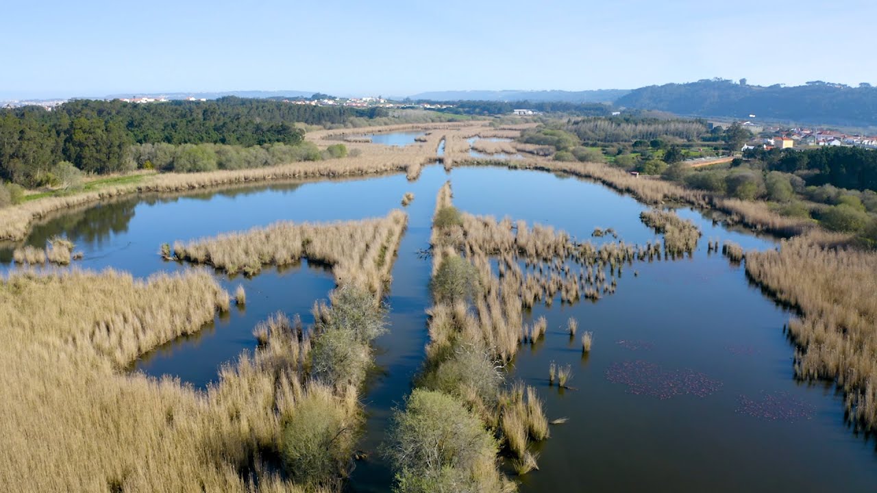 A Reserva Natural Local do Paul de Tornada comemora 11 anos - YouTube
