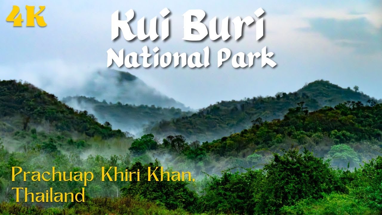 Kui Buri National Park, Prachuap Khiri Khan, Thailand | Must Visit ...
