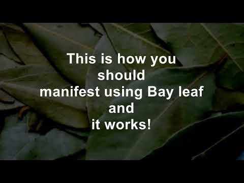 Bay Leaf Manifestation ritual. Very Powerful. Miracle Happens. Thank you Universe. - YouTube