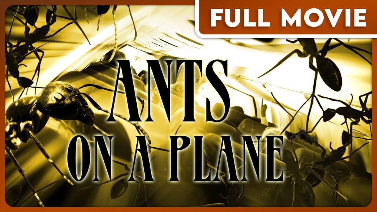 Ants on a Plane (1080p) FULL MOVIE - Action, Fantasy, Horror, Sci-Fi ...