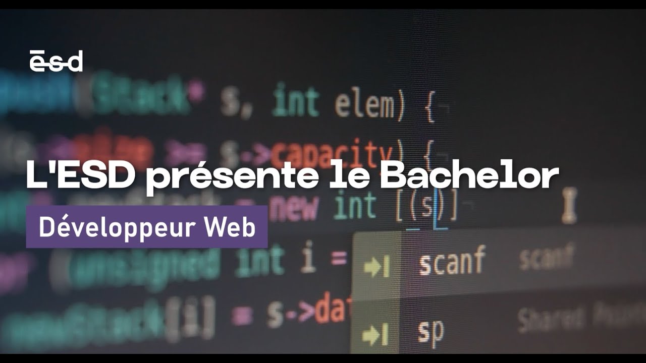🎓 Découvre le Bachelor DÉVELOPPEUR WEB, une formation post-bac HORS ...