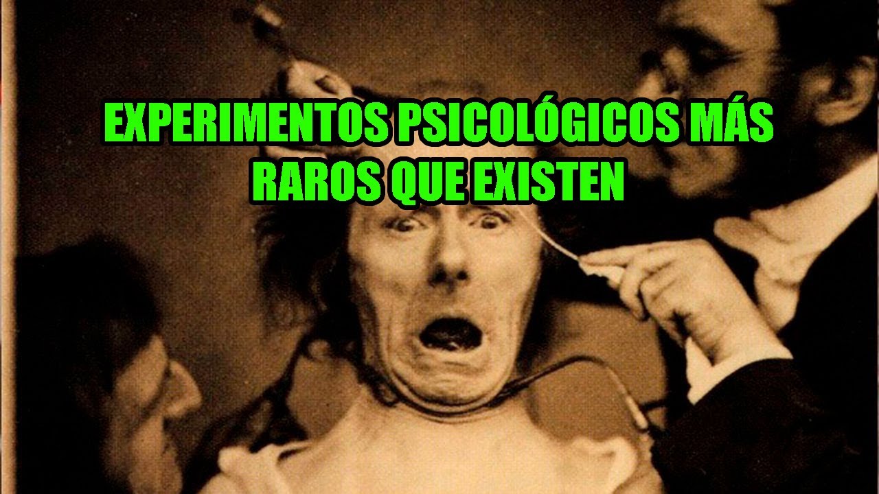 Experimentos psicológicos más raros que existen | Mr. Andrews 99 - YouTube