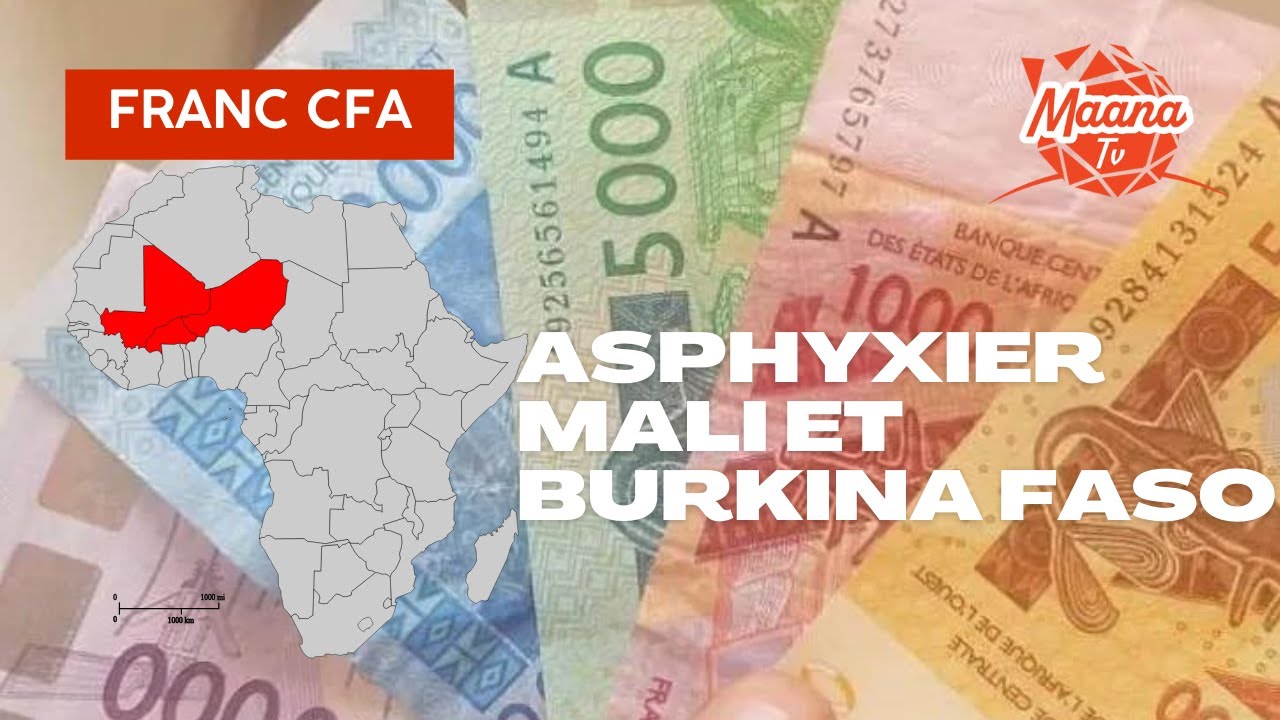 Comment la France a essayé d'utiliser le franc CFA pour asphyxier le ...